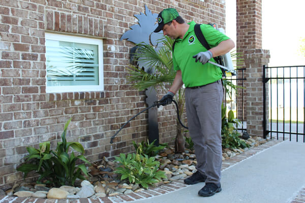 Mosquito Joe Franchise Costs & Fees for 2019